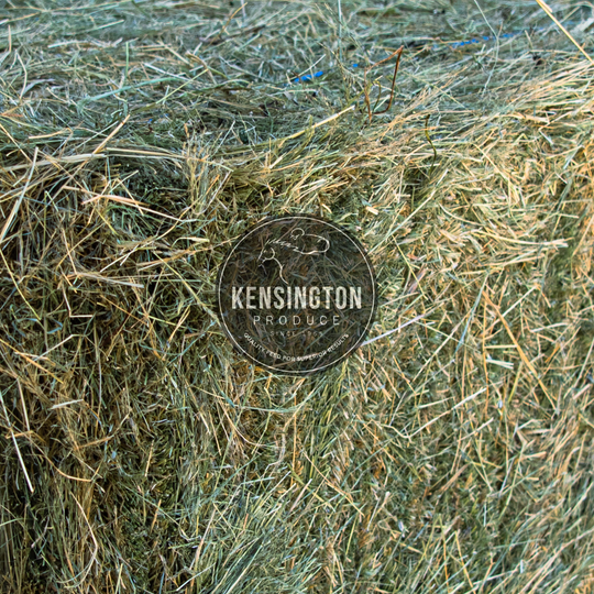 Hay – Kensington Produce